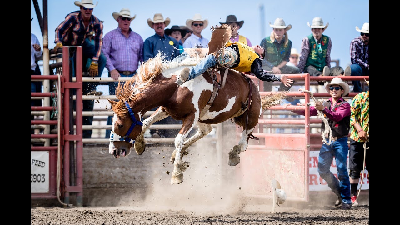 Weasel Loader Photo 2019 - YouTube