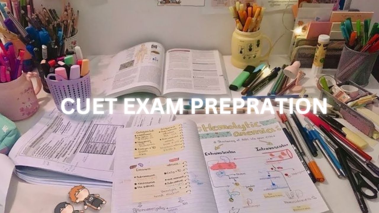 Cuet aspirants life | Productive College Vlog - YouTube