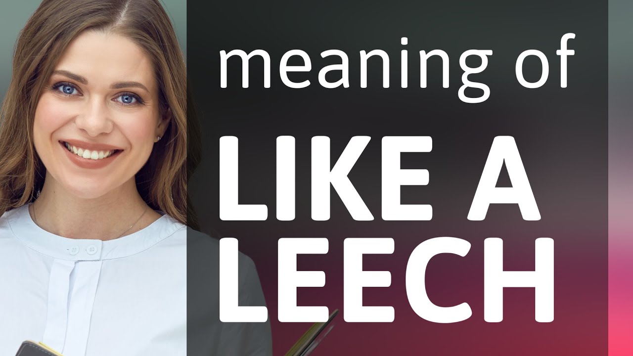 Understanding the Phrase "Like a Leech": A Guide to English Idioms ...