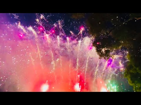 **FIREWORKS FINALE** - All Pro-Line Cakes (Riakeo, Raccoon, Wizard ...