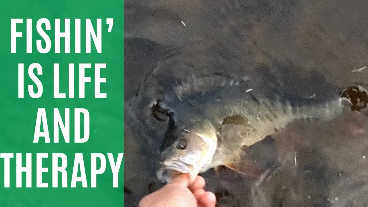 Big Winter Carp & Perch @ Canberra, ACT - YouTube