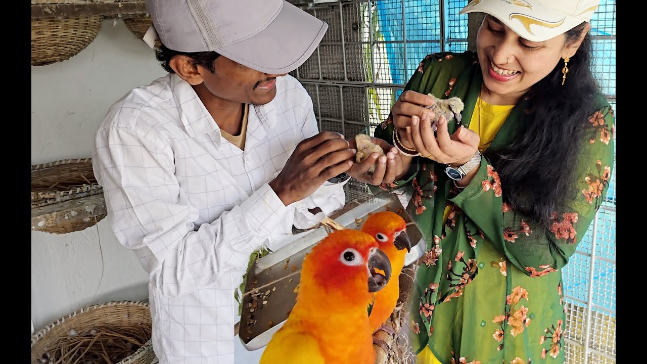First Baby Bird Born On Our New Farm. - YouTube
