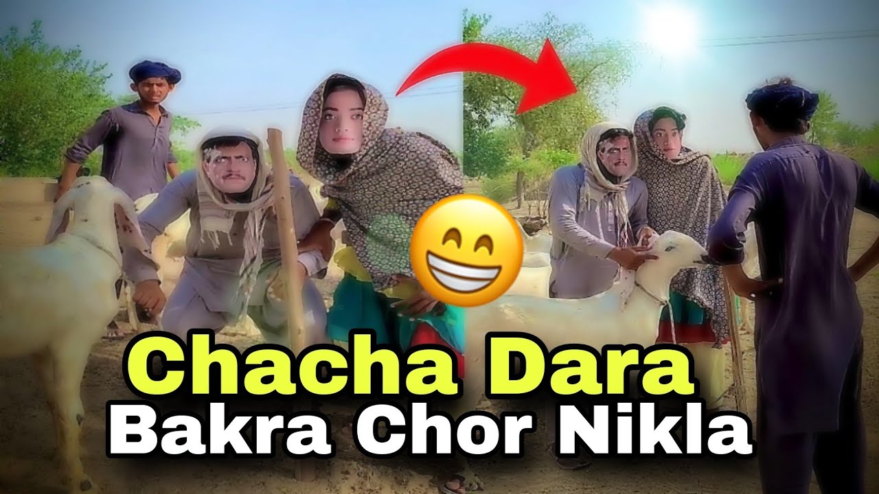 Chacha Dara or rashmika madam 😂| Bakra chor niklay 😂 - YouTube