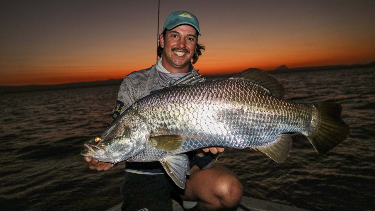 Big Barra Bite | Peter Faust Dam (Lake Proserpine) - YouTube