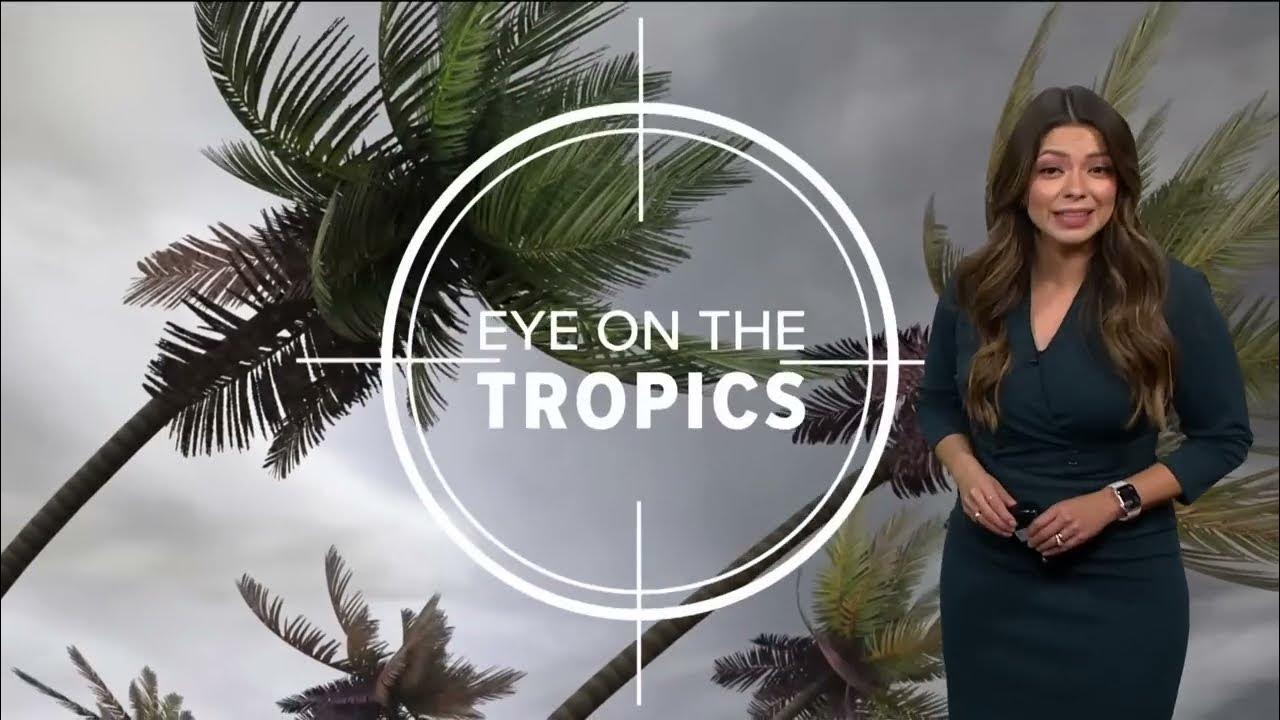 Mariel Ruiz 11/07/2024 WFAA 8 ABC - YouTube