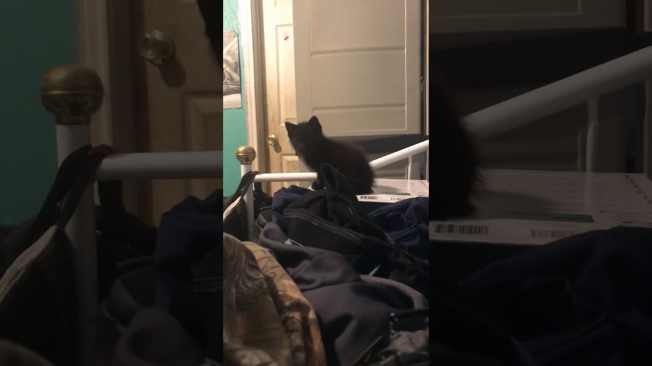 Bbbbbbbbbbbbb - YouTube