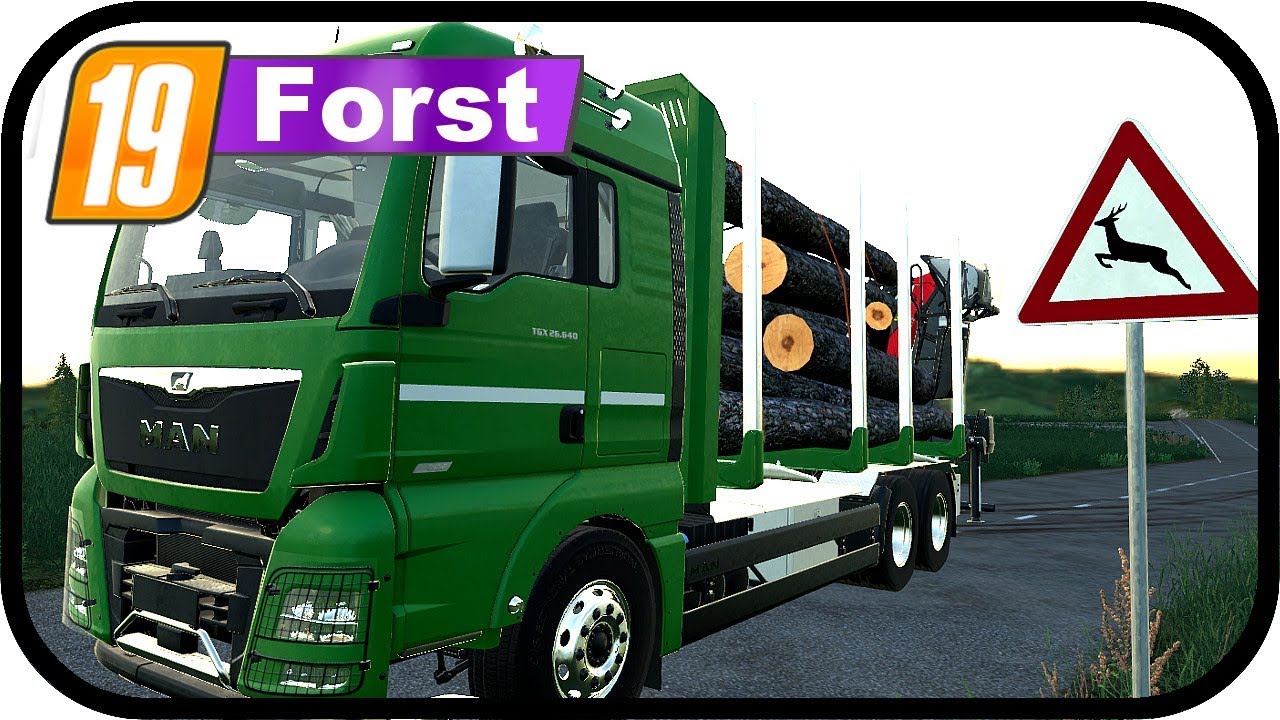 LS19 FORST #4 - HOLZTRANSPORT zum SÄGEWERK mit UNFALL | Landwirtschafts ...