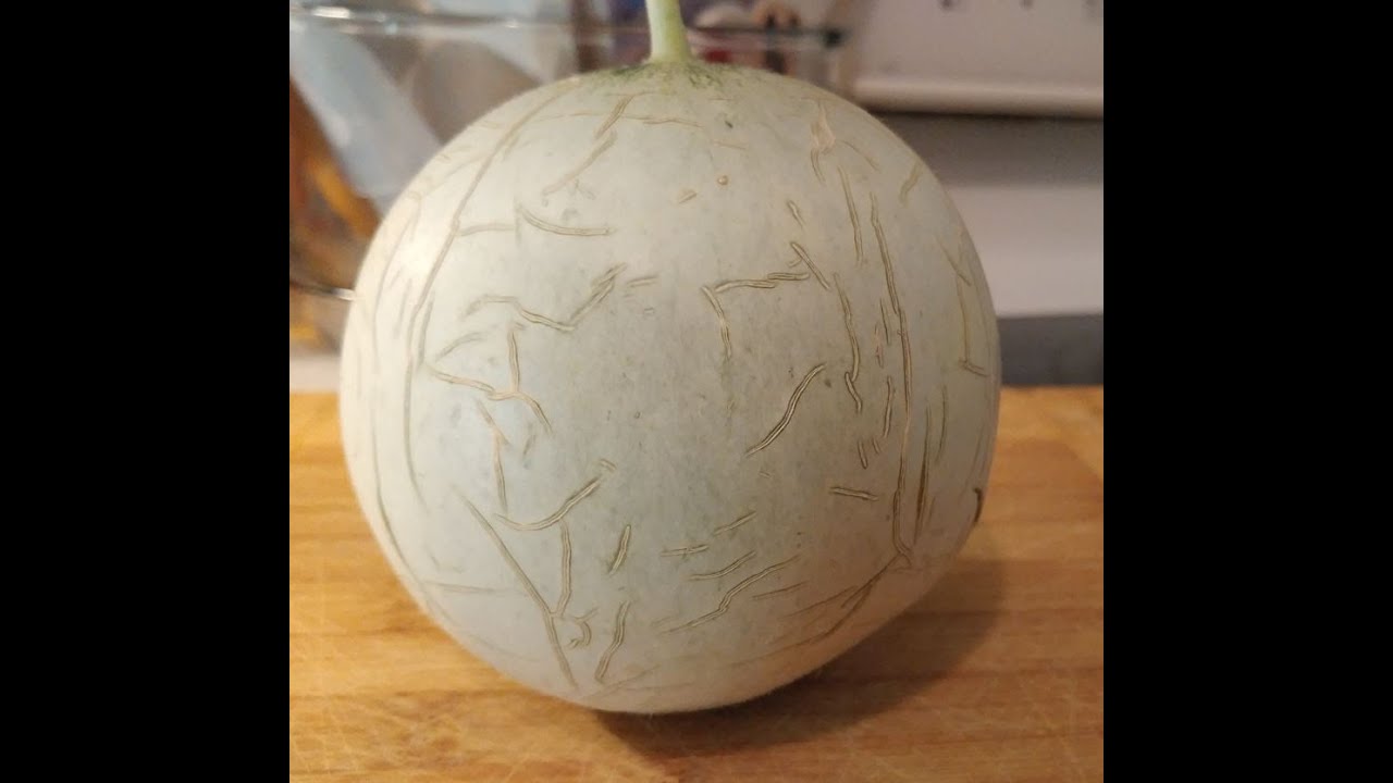 Tasting testing Pixie Melon - YouTube