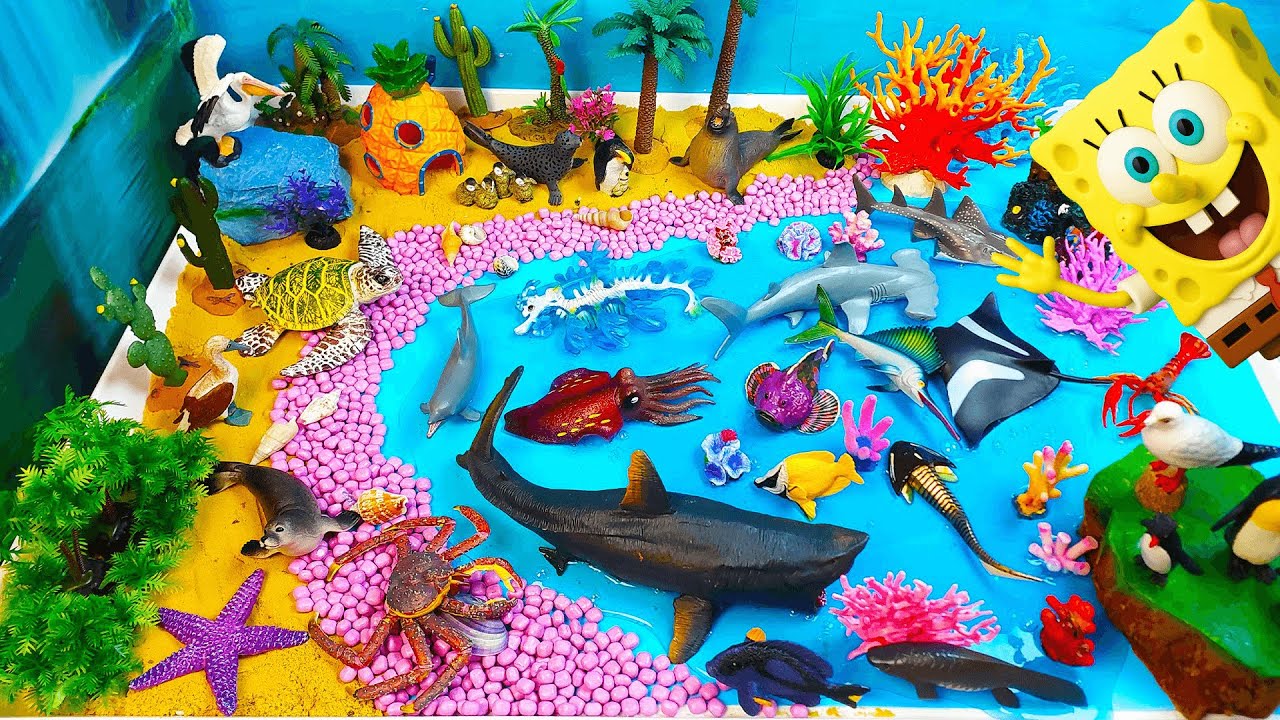 Meet Sea animals part 2- DIY Marine Diorama with Spongebob house-Learn ...