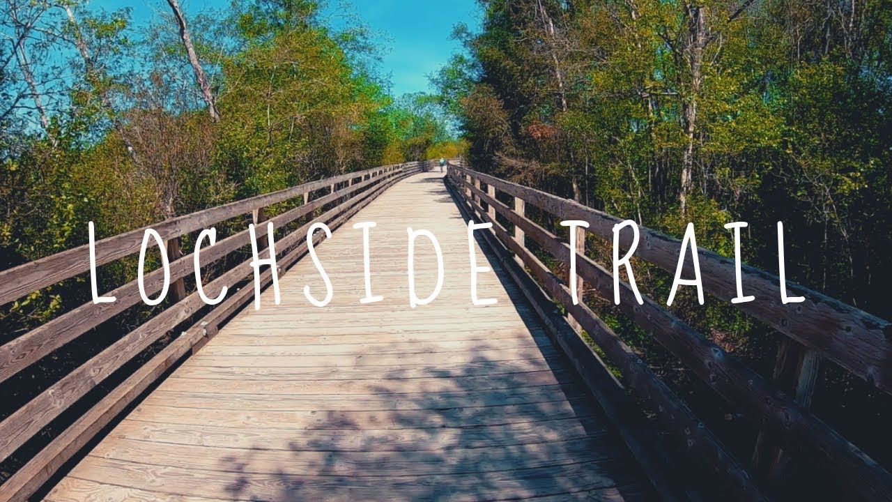 Biking Vancouver Island | Lochside Trail, BC - YouTube