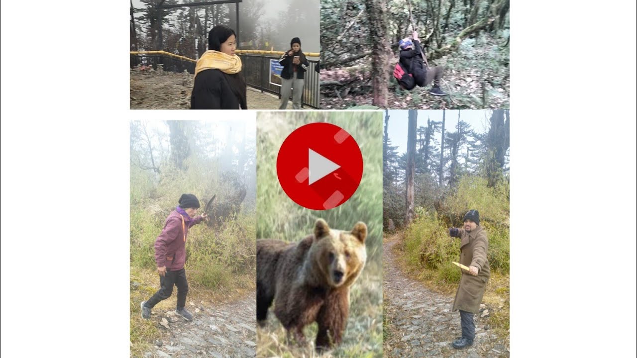 Bhalay Dhunga tracking ️ - YouTube