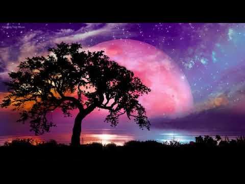 10 Hours Deep Sleep Music 🎵 Stress Relief Music, Insomnia (Star Sky ...