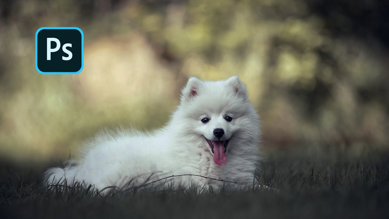 Easy Outdoor Portrait Edit (Pet Dog) - Photoshop Tutorial - YouTube