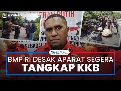BMP RI Desak Aparat Tangkap KKB Pelaku Pembunuhan Tukang Kayu di Yahukimo