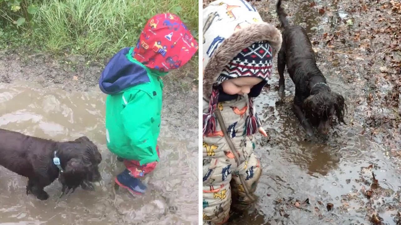 Toddler And Dog Love Splashing In Puddles - YouTube