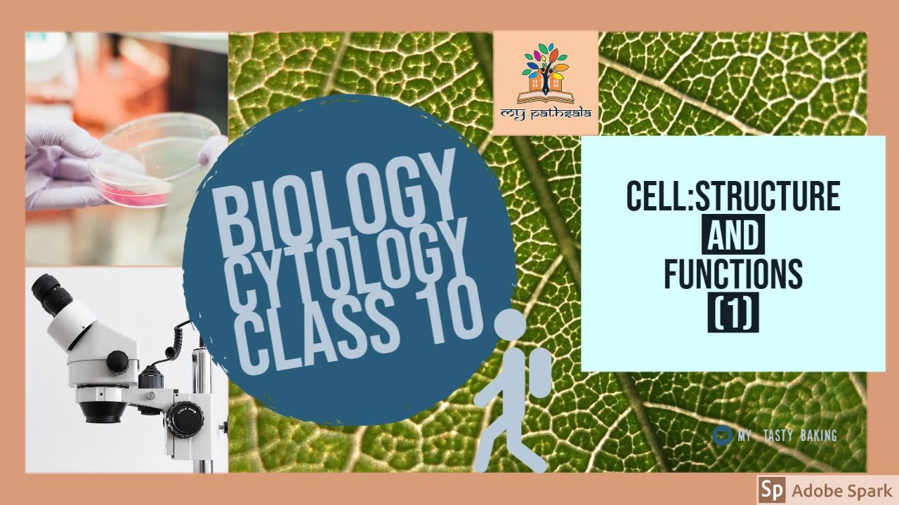 Cell The Structural And Functional Unit Of Life ( Part 1) - YouTube