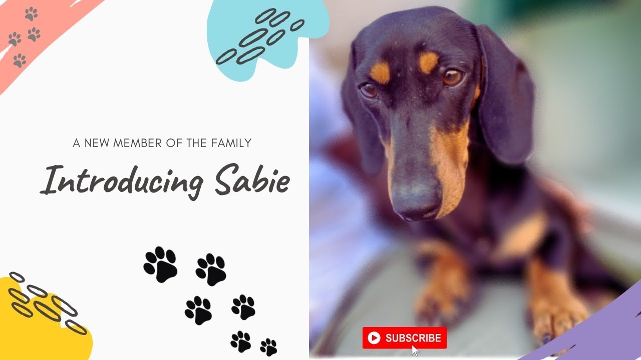 Welcome Baby #3|Welcome Sabie - YouTube