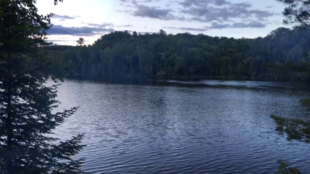 Loon cry Baptiste '17 - YouTube