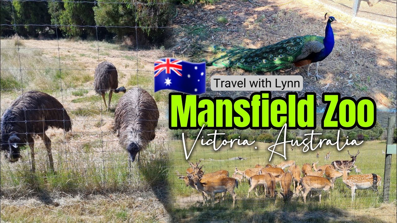 Mansfield Zoo in Victoria Australia 🇦🇺 | Travel with Lynn - YouTube