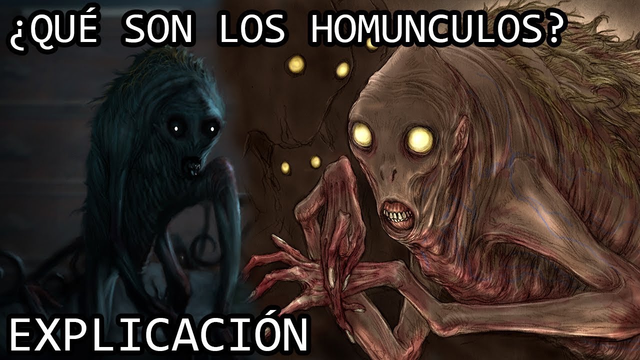 ¿Qué son los Homunculos? EXPLICACIÓN | Los Homunculos de No temas a la ...