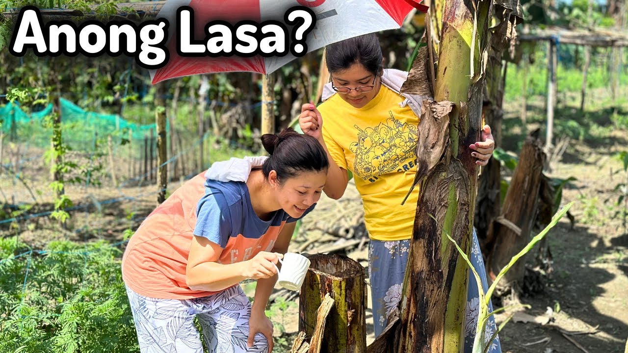 Tubig galing sa Puno ng Saging! Umuwi silang may mga Sugat | ROMALYN ...