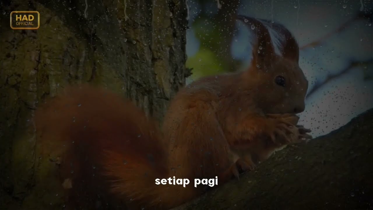 ¢R00T P£NJVAL J4MU || NYATA KISAH - YouTube