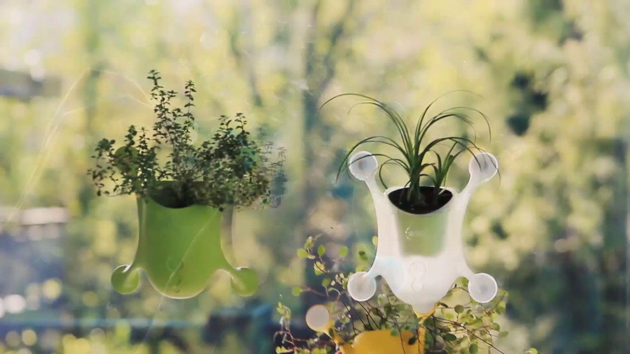 Harris Seeds/GardenTrends - Livi Pots - Reimagine Your Plant Experience ...