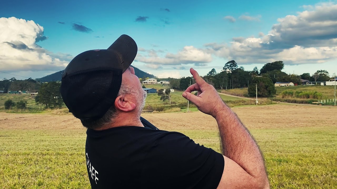 Peregrine Falcon training With Wild Black kite and 11 Galahs !!! - YouTube