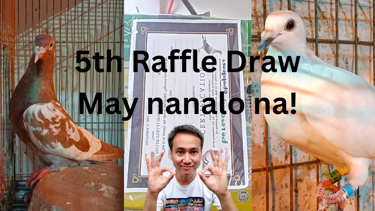 MAY NANALO na ulit ng BIO PIGEON! 5th Free Raffle Draw | TUKLASin kung ...