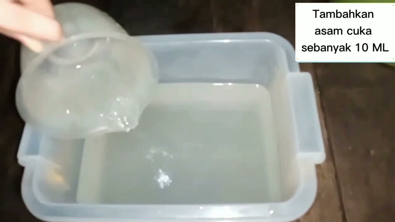 PEMBUATAN ASAM CUKA DARI AIR KELAPA SECARA ENZIMATIK - YouTube