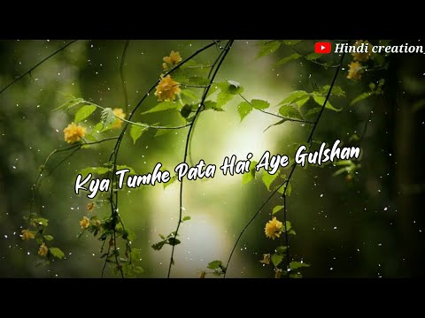 kya tumhe pta hai aye gulshan status//mere dilbar aane wale hai status//hindi status.