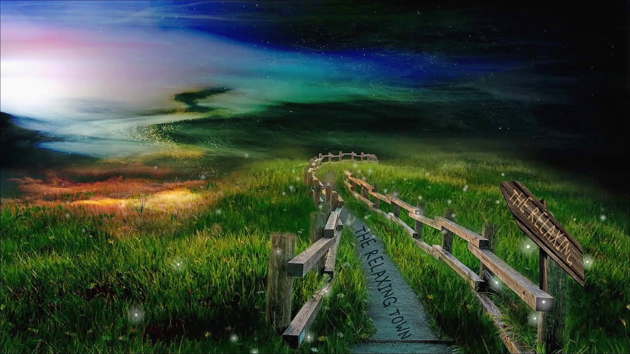 🎧 Forest Sounds at Night - Crickets, Grass, Firefly | Forest Nature ...
