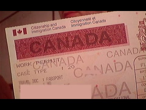 What is a co-op work permit and how can you apply for it - YouTube