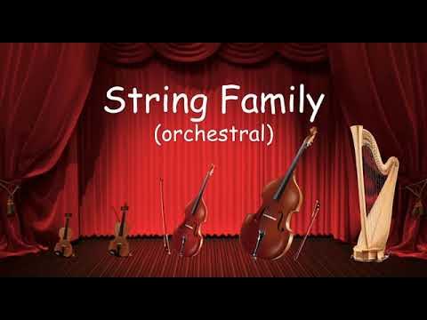 The String Family - Listen to the instruments of the strings family ...