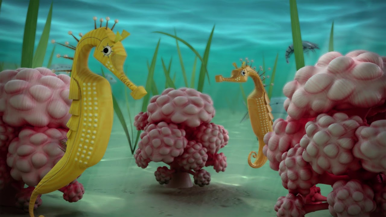 Brisbane Water Estuary Animation - YouTube