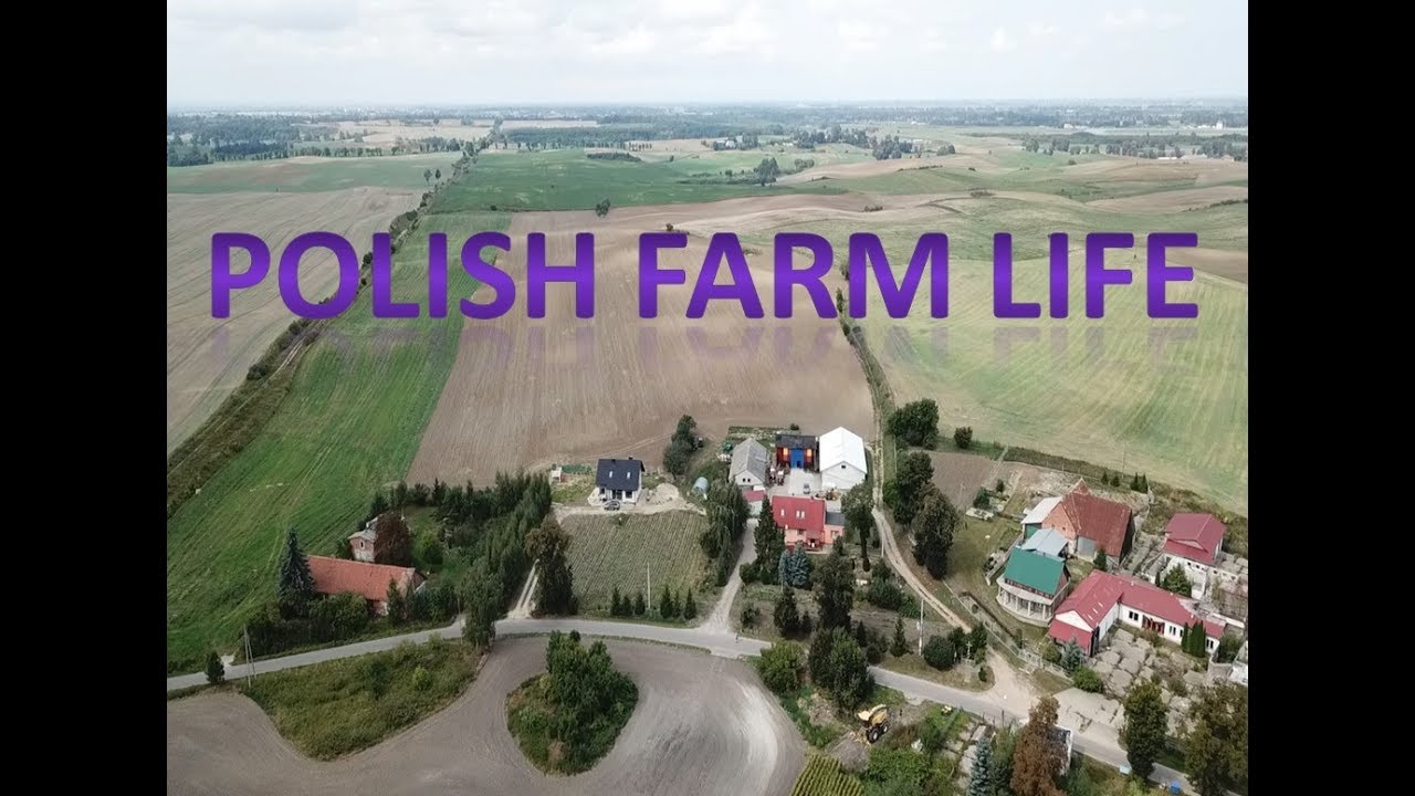 Polish Farm Life - Vlog 85 - YouTube