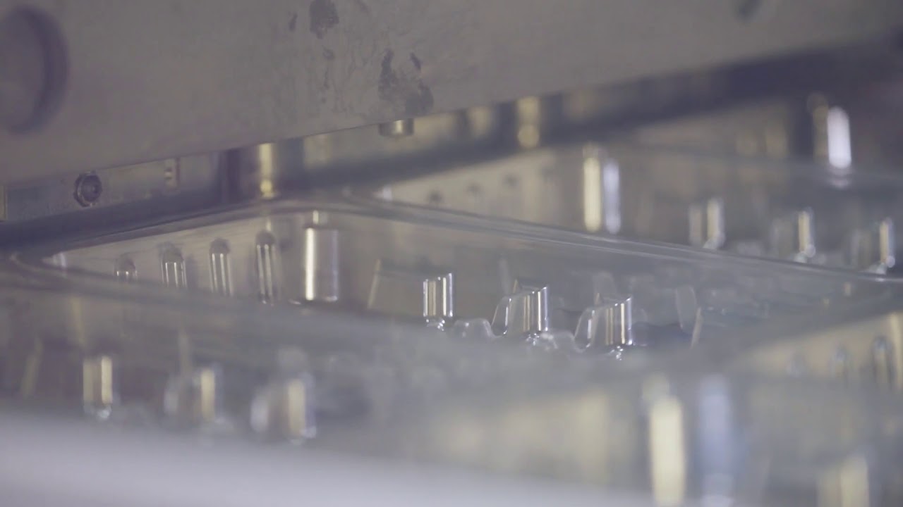 Behind the scenes at LVF Packaging - a visit to our factory (8) - YouTube