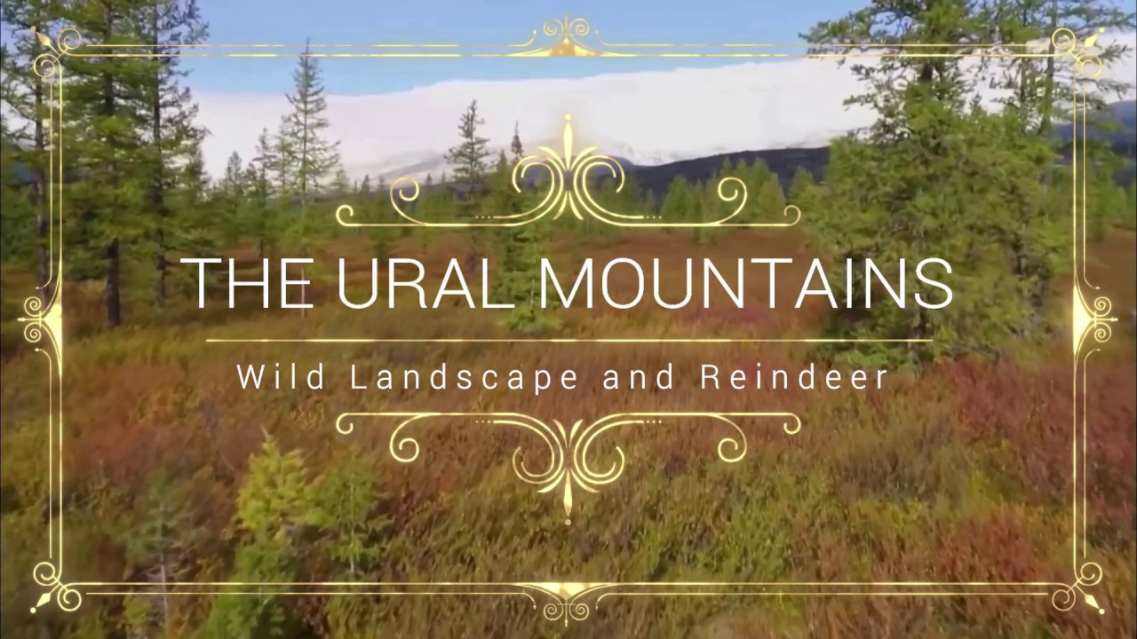 The Ural Mountains: Wild Landscape and Reindeer - YouTube
