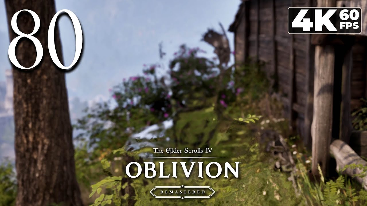 Oblivion: Remastered (PC) - 4K60 Walkthrough Part 80 - Aleswell: "Zero ...