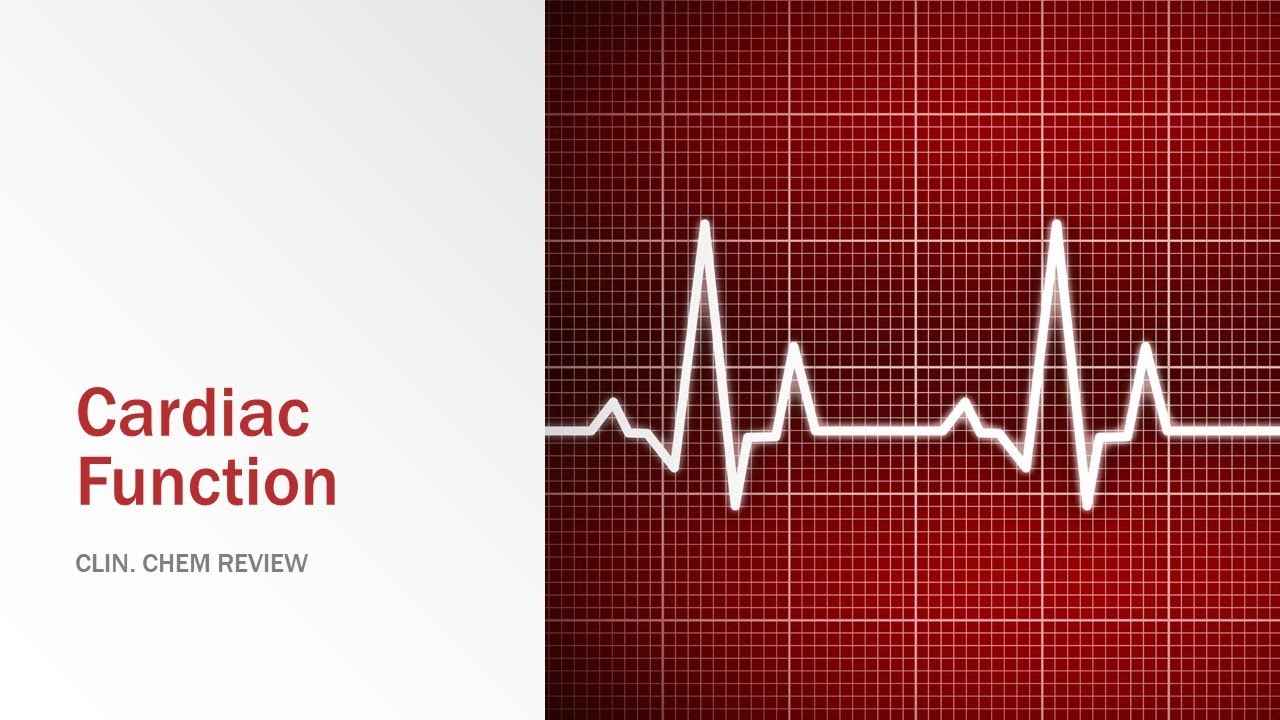 Cardiac Function Review - YouTube