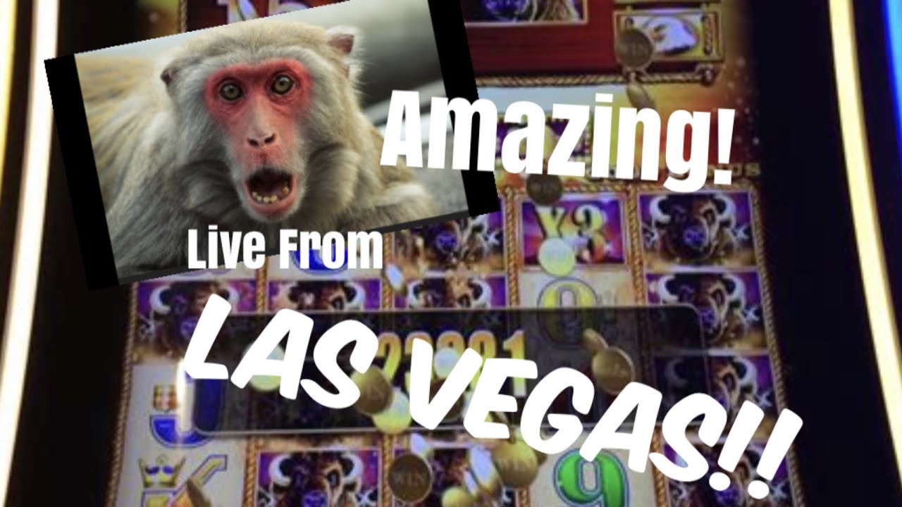 Live Slot Machine Play from Las Vegas! Sergeant Slotter vs the Unicow ...