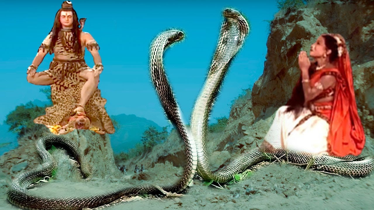 Naag Nagin shower Blessings to Shiva's Devotee | Om Namah Shivaya ...