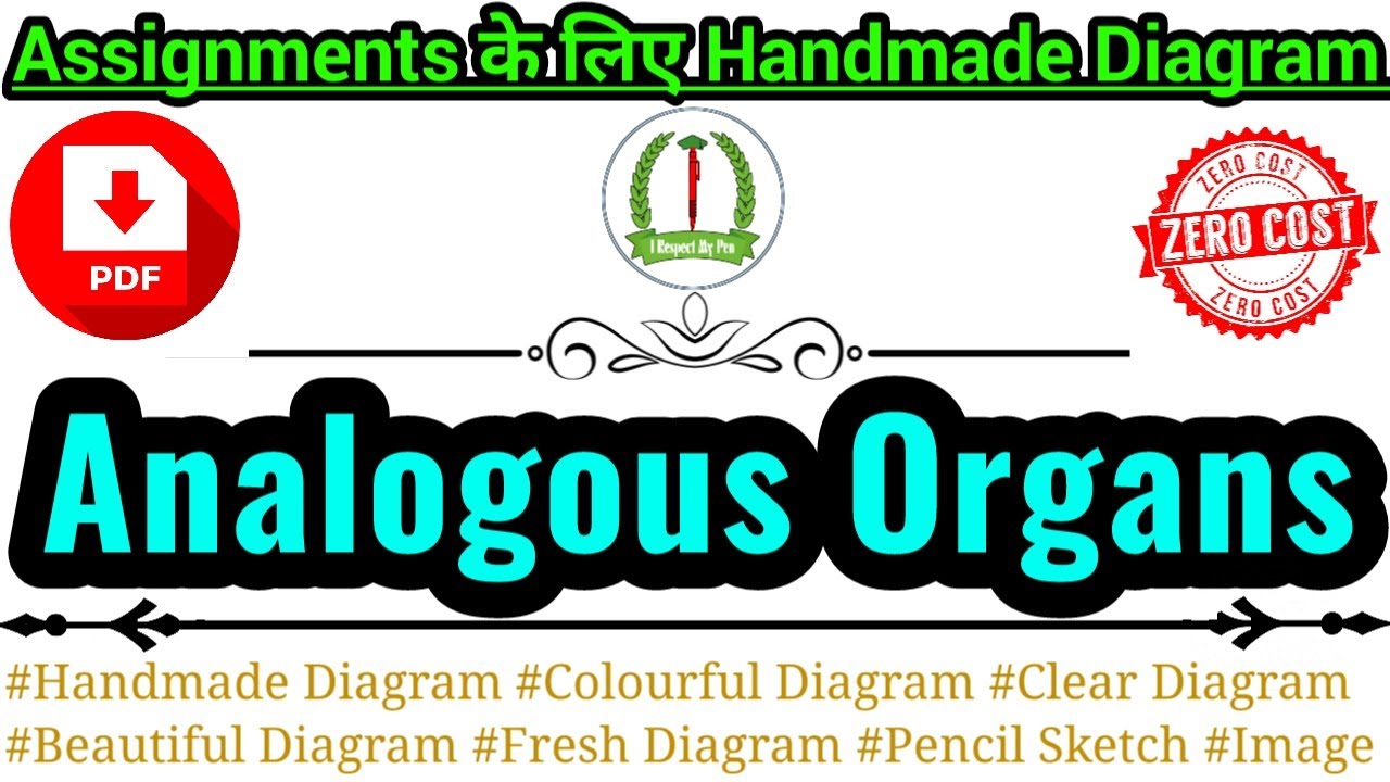 Analogous Organs | Assignments Diagram | Wings | Feathers | Flesh ...