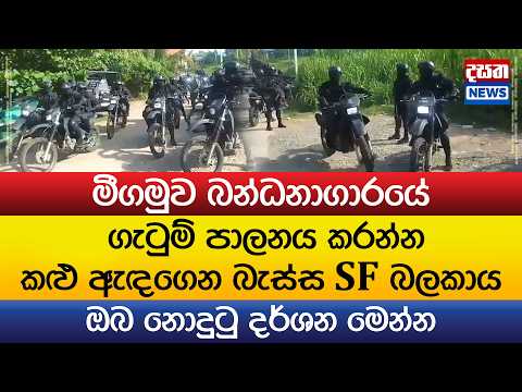 කළු ඇඳගෙන මීගමුවට බැස්ස SF බලකාය