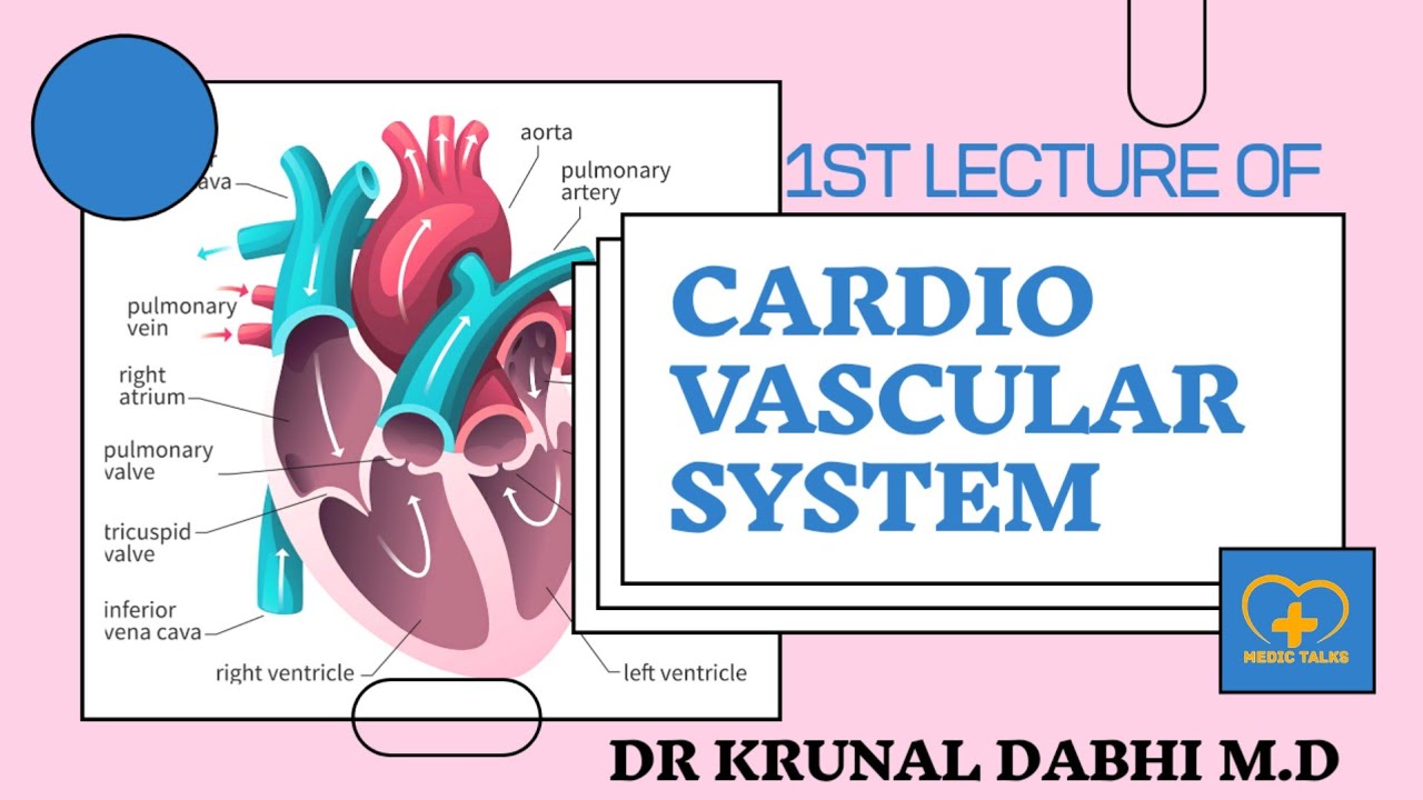 Cardiovascular System Introduction | Heart | Layers | Valves | Blood ...