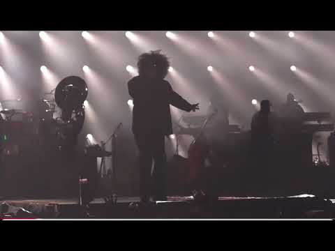 Jay  Z Roots picnic (full set)