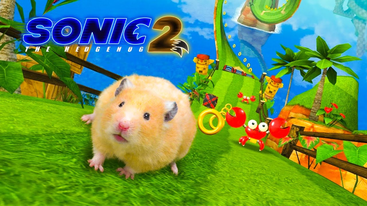 Sonic the Hedgehog 2: Hamster hunts for Chaos Emeralds 🐹 in Hamster ...