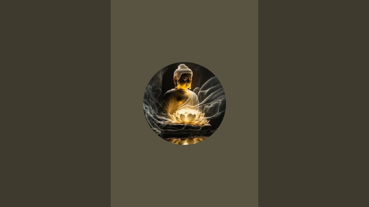 INTERNATIONAL DHAMMA PROGRAM Lived Chant for JULY 15TH 2024 - YouTube