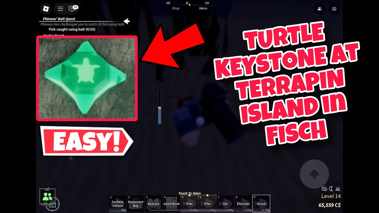 Where Is TURTLE KEYSTONE at TERRAPIN ISLAND in FISCH? (Shell Key) - YouTube