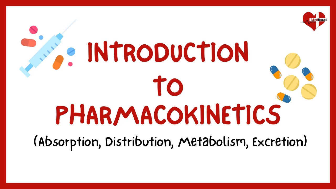 What is Pharmacokinetics? | The ADME Process | Introduction to ...